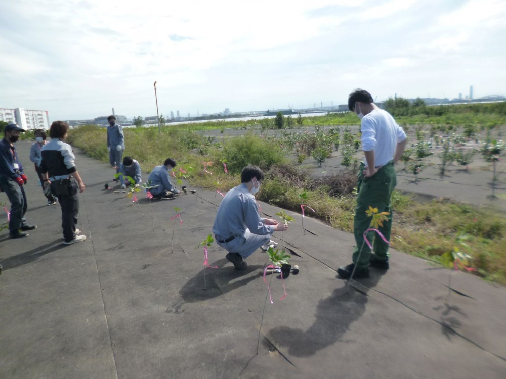 【SDGs】尼崎の森中央緑地「森づくり活動」に参加しました(2022.10) - アマテイ株式会社｜釘・ネジのアマテイ Amatei｜兵庫県 ...