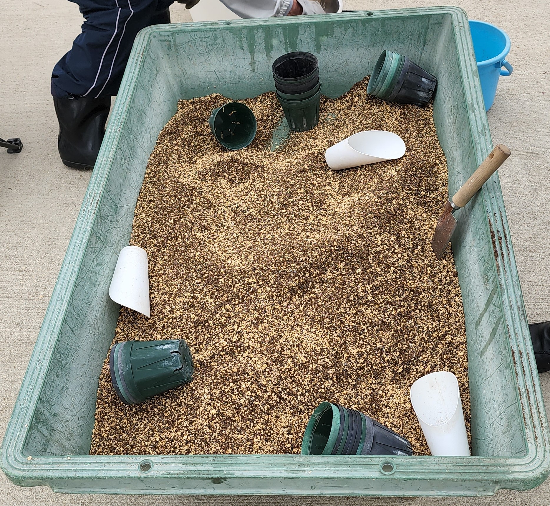 【SDGs】尼崎の森中央緑地「森づくり定例活動」に参加しました(2023.5) - アマテイ株式会社｜釘・ネジのアマテイ Amatei｜兵庫県 ...