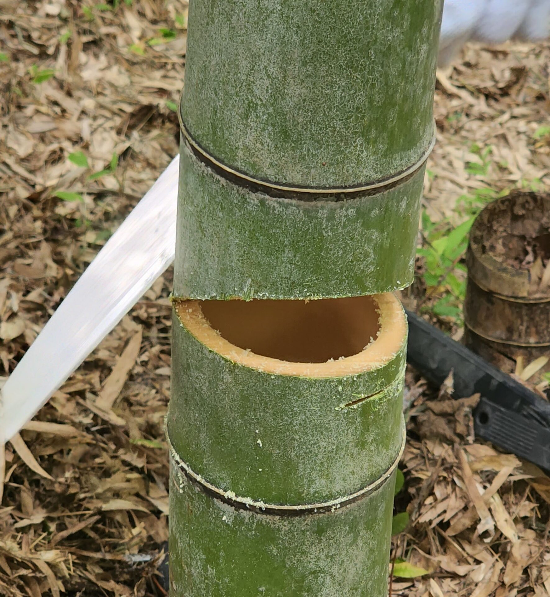 【SDGs】丸紅の森 社会貢献活動に参加しました - アマテイ株式会社｜釘・ネジのアマテイ Amatei｜兵庫県尼崎市 ＊アマテイは、釘の生産 ...