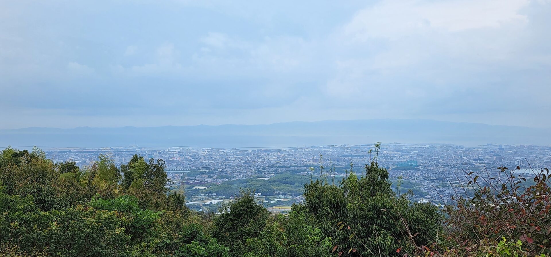 【SDGs】丸紅の森 社会貢献活動に参加しました - アマテイ株式会社｜釘・ネジのアマテイ Amatei｜兵庫県尼崎市 ＊アマテイは、釘の生産 ...