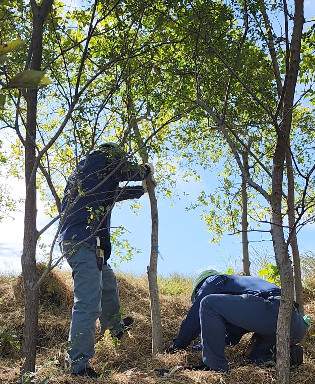 【SDGs】尼崎の森中央緑地 「森づくり活動」に参加しました(2023.10) - アマテイ株式会社｜釘・ネジのアマテイ Amatei｜兵庫県 ...