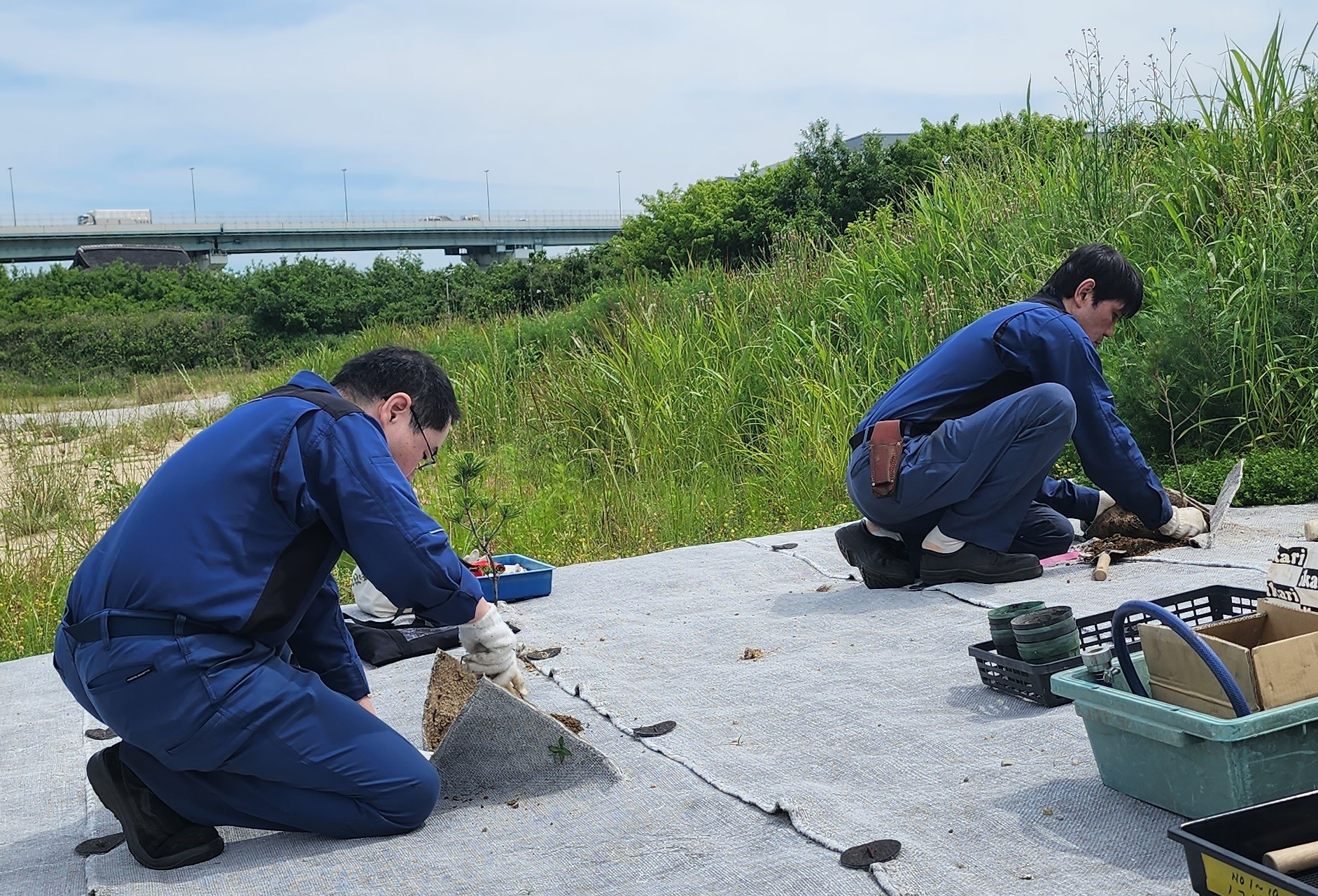 【SDGs】尼崎の森中央緑地 「森づくり活動」に参加しました(2024.5) - アマテイ株式会社｜釘・ネジのアマテイ Amatei｜兵庫県尼崎市 ＊アマテイは、釘の生産量日本一の上場会社です。