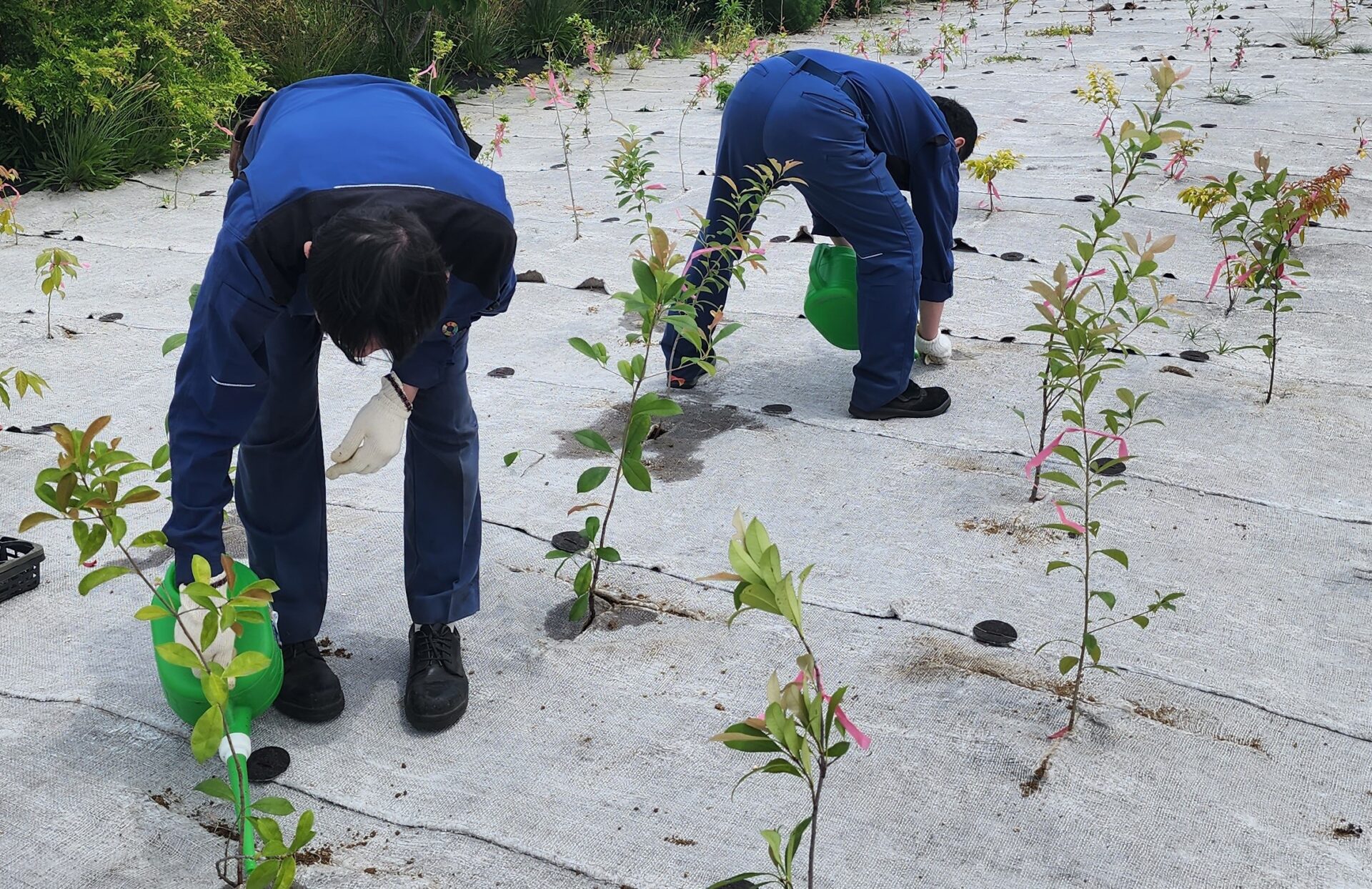 【SDGs】尼崎の森中央緑地 「森づくり活動」に参加しました(2024.5) - アマテイ株式会社｜釘・ネジのアマテイ Amatei｜兵庫県 ...